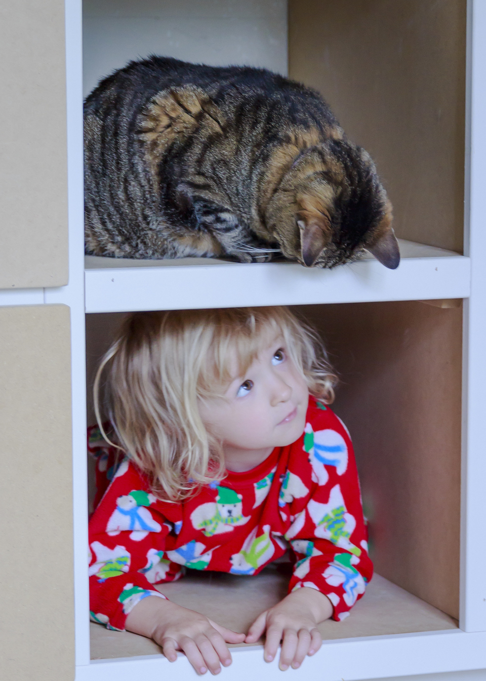 Was Katzen und kleine Kinder gemeinsam haben - revvet.de